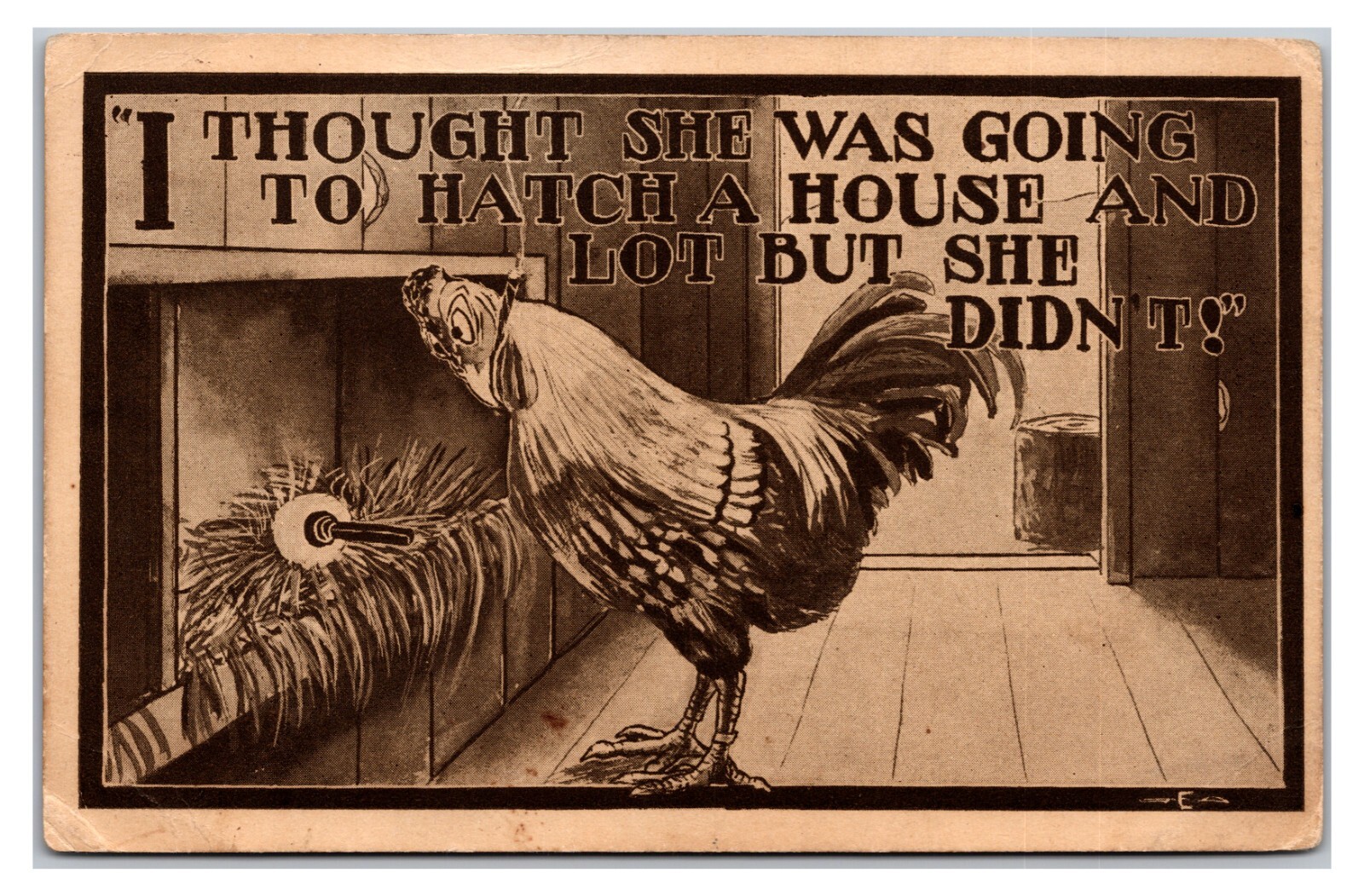 Early 1900s - "Father Chicken" Funny Chicken Cartoon Postcard (Posted ...