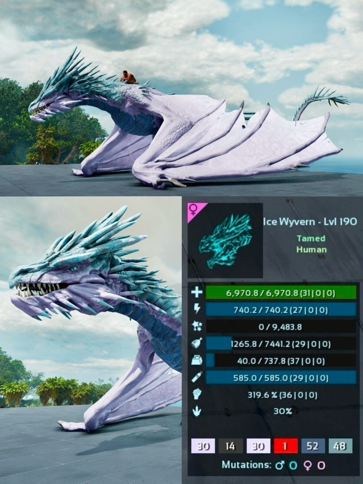 ark ragnarok ascended pve Ice Wyvern Event Color, Top Stats, Level 190 Max temed | eBay