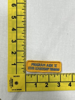 Girl Scout Castle Council Program Aide 2 Leadership Training Patch GSA ...