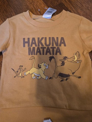 Disney The Lion King 2 Piece Olive Beige Toddler Outfit Size 2T | eBay