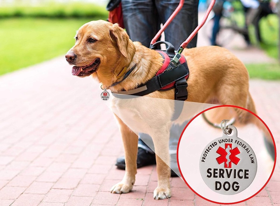 LRG Service Dog Tag Double Sided Federal Protection w/ Red Medical ...