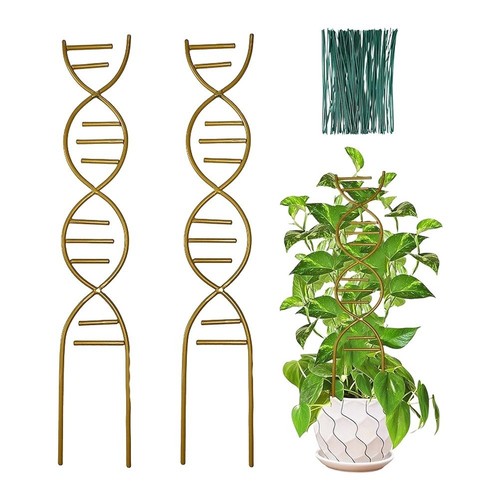 Metal Indoor Plant Trellis Vertical Support Frame for Climbing Plants ...