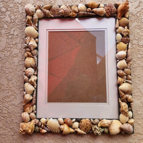Handcrafted FLORIDA Seashell Picture Frame Nautical Design Holds 13x10 ...