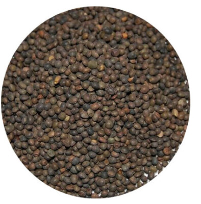 FISHING TARES 10kg 5kg 3kg 2kg 1kg 500g Unprepared Tares Fishing Bait ...