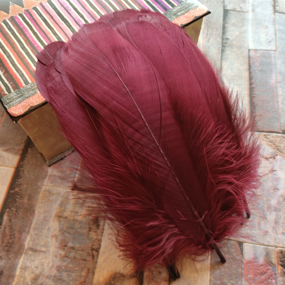 Wholesale 20-100 Pcs Pretty Natural Goose Feathers 12-18 cm/5-7 inches ...