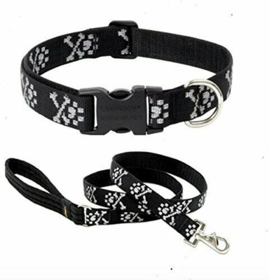 Lupine Pet Bling Bonz Collar PLUS 6FT LEAD Size: LARGE 16-28" NECK X 1 ...