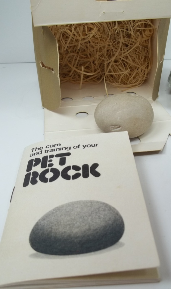 Vintage Original Pet Rock 1975 Rock Bottom Productions MCM | eBay