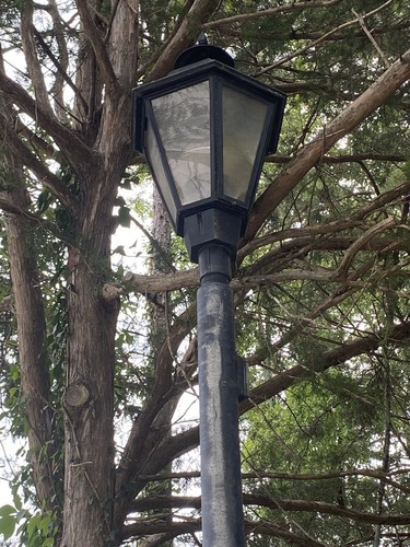 Vintage Black Colonial Luminaire Street Light Pole Lamp, LED NYC, Can ...