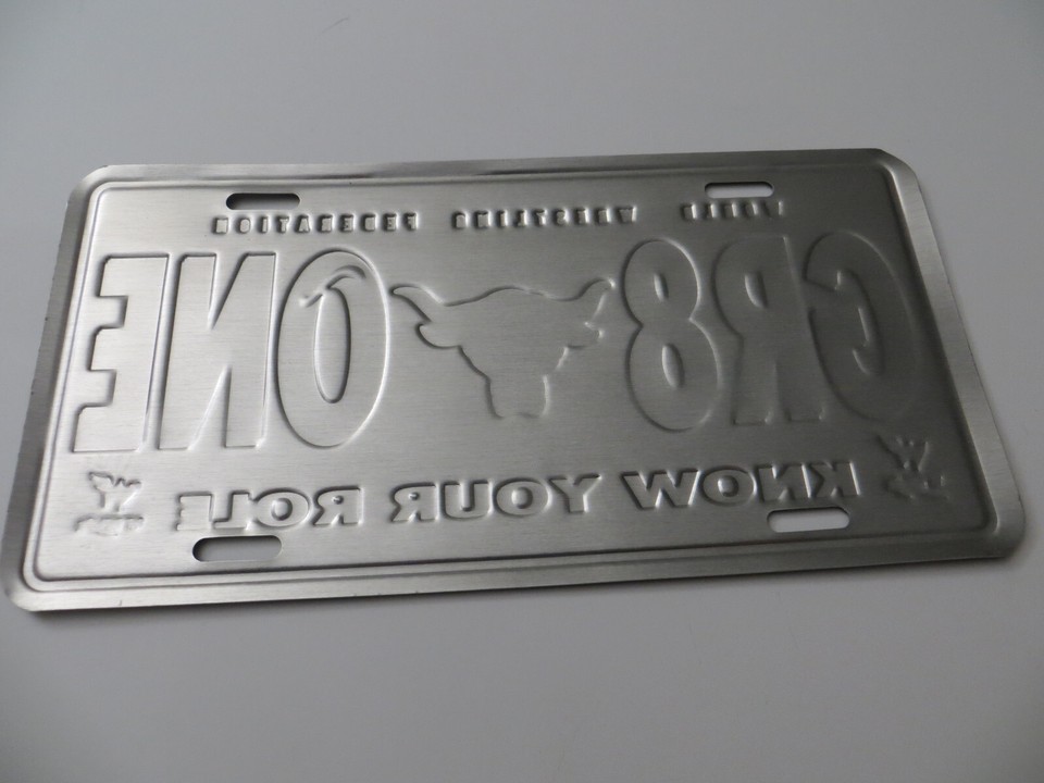 THE ROCK WWE WWF License Plate 1998 GR8 ONE (Know Your Role) Wrestling ...