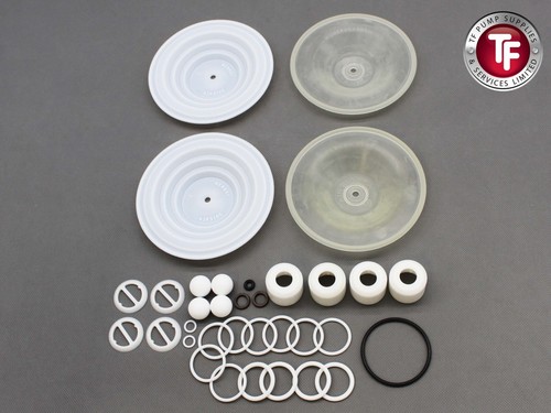 Originale Graco Acetale / Ptfe Bagnato Taglio Servizio Kit, Per Husky ...