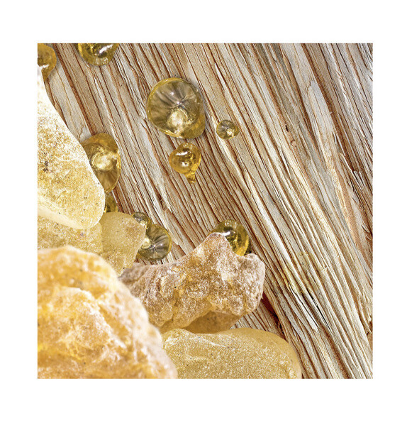 Bvlgari Omnia Golden Citrine Limited Edition Omnialandia EDT 2.2 oz ...