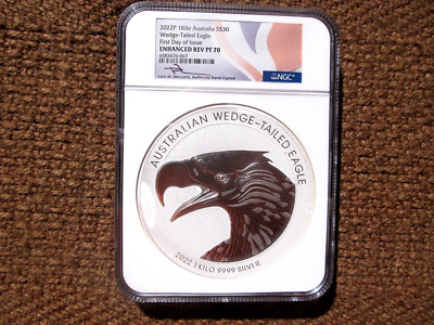 Wedge Tailed Eagle Vs Bald Eagle An Encounter With A Wedge Tailed