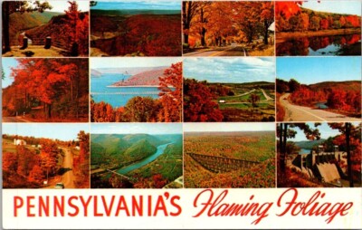 Pennsylvania Fall Colors Nature Scenes Multi View c1980 Postcard | eBay