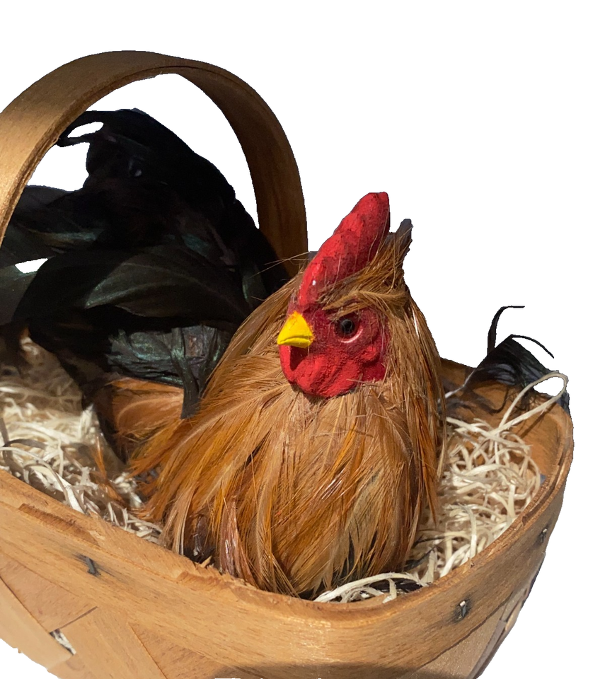Vintage Chicken in Small Peck Type Basket Real Feathers~Country ...