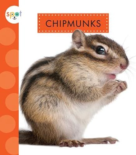 Chipmunks by Mari C Schuh: New 9781681523804| eBay