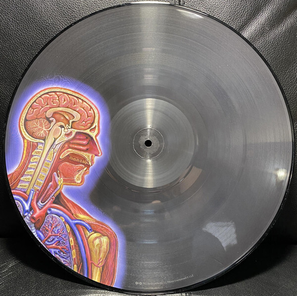 Tool Lateralus limited edition VINYL 2 LP PICTURE DISC gatefold sleeve ...