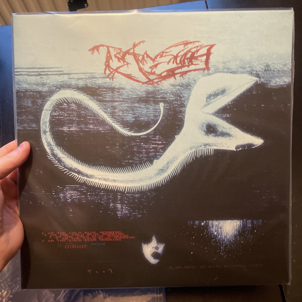 Black Metal Vinyl Bundle Job Lot Akhlys Pissgrave Saidan Ulcerate | eBay UK