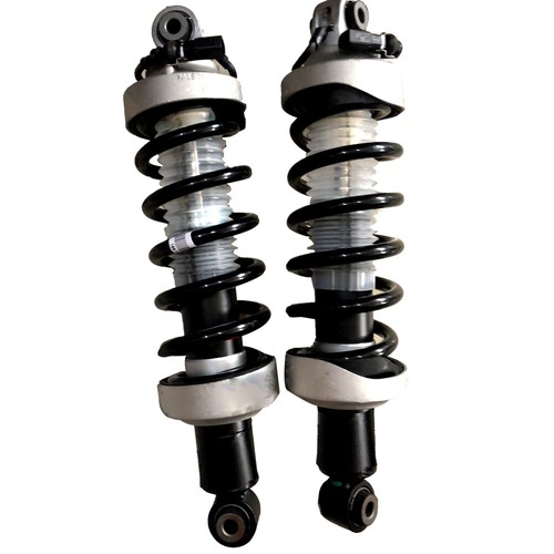 1 Pair Air Shock Absorber Shocks For AUDI R8 Rear L&R 420512019AL ...