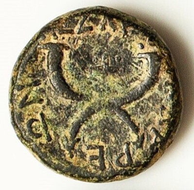 JUDAEA Gadara Emperor Titus 73AD Double Cornucopia Bronze Roman Ancient ...