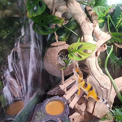 Lizard Coco Den with LadderLeopard Gecko Coconut Husk Hut Hideout Home ...