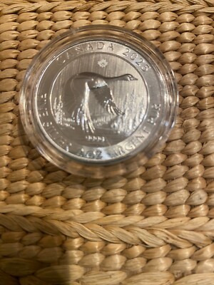 Canadian Mint, 1x2oz 10 dollars, beautiful, 2025 .9999 silver Goose ...
