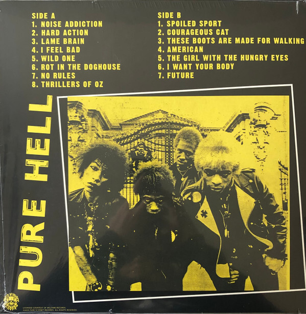 PURE HELL NOISE ADDICTION Vinyl Record LP punk rock, new york dolls ...