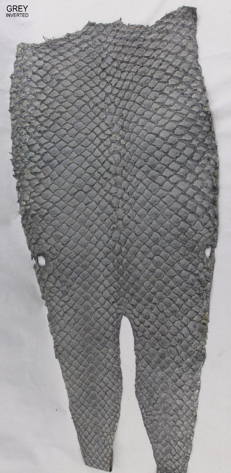 Pirarucu skin, Arapaima skin (INVERTED SCALES) 12 colors available see ...