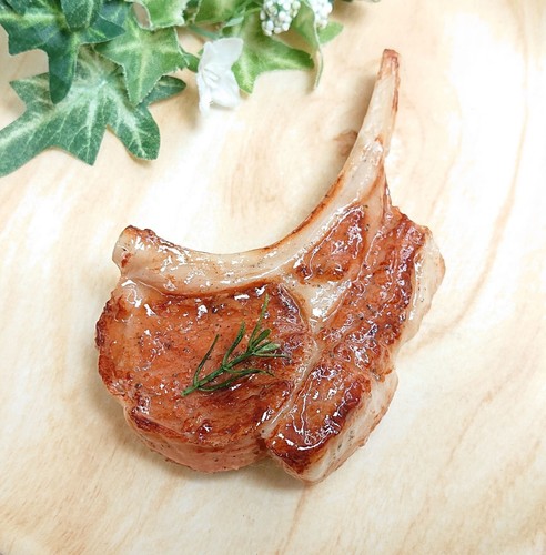 Food sample lamb chop magnet fake food vinyl resin handmade NEW from ...