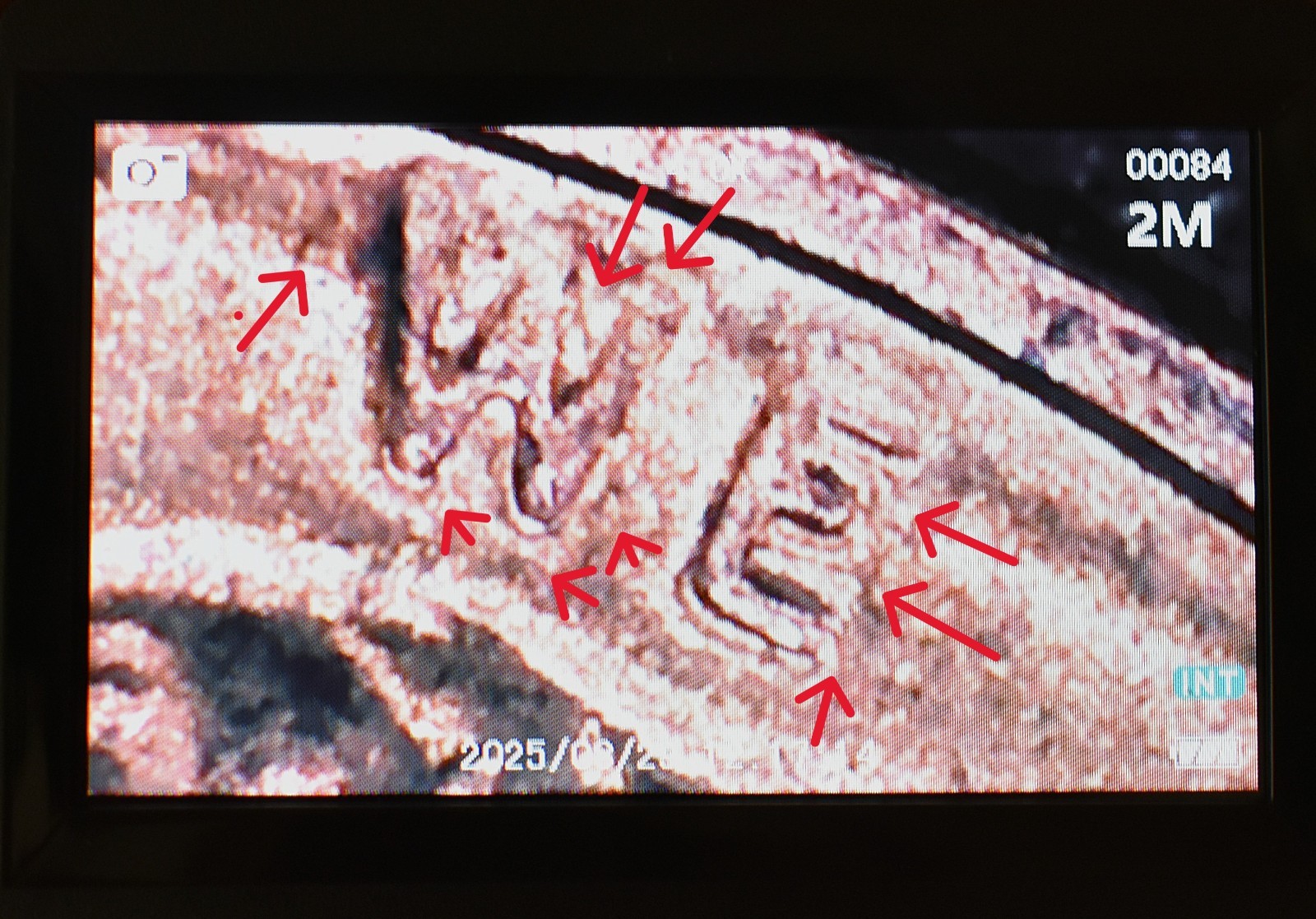 1969 S Penny Error Double Die DDO, DDR Strike Through Memorial Clash ...