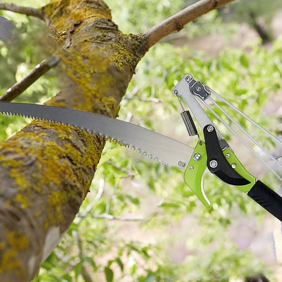 Extendable Telescopic Tree Pruner Garden Branch Cutter Lopper Inc Saw ...