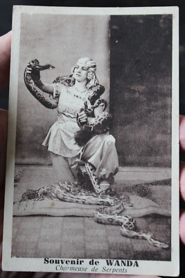 SNAKE LADY Carnival Circus show Large Snakes photo studio postcard ...