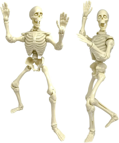 Set of 3 Super Articulated 8 Inch Skeleton Action Figures 7445016948930 ...