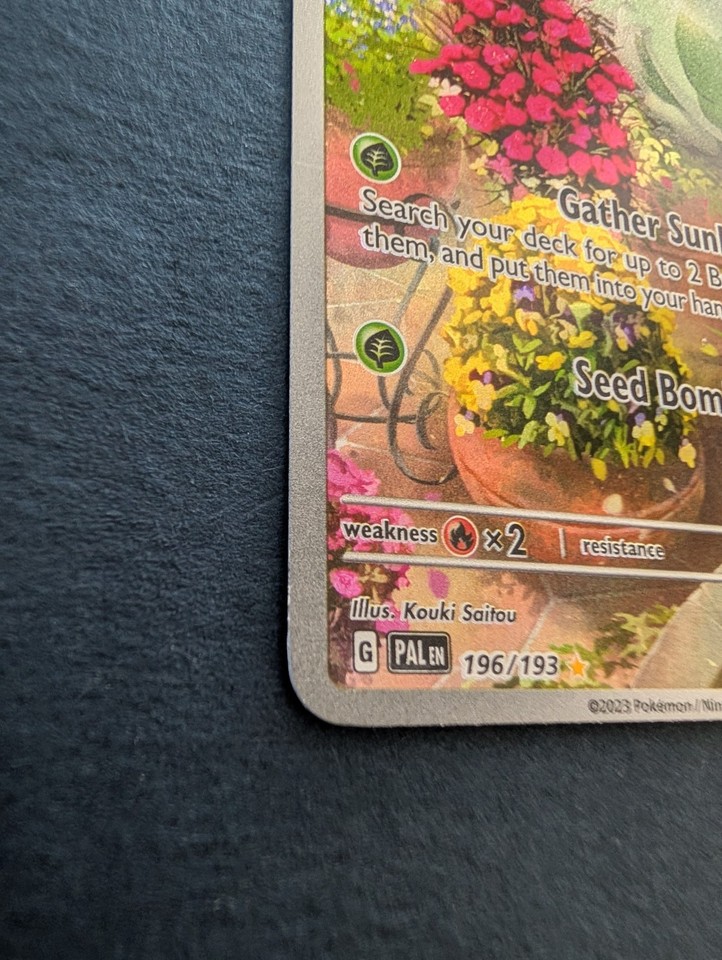 Sprigatito 196/193 Illustration Rare SV02: Paldea Evolved Pokemon TCG ...