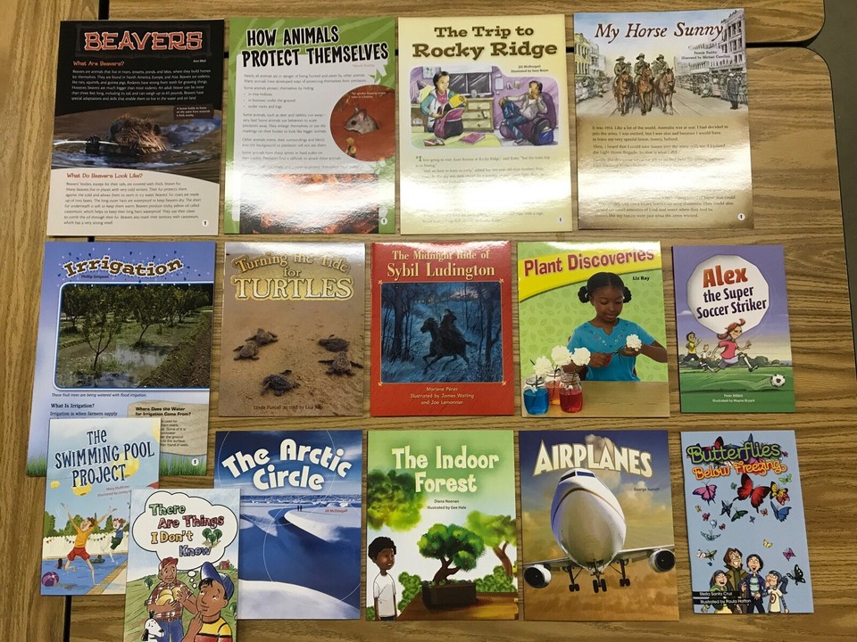 New! HMH Into Reading RIGBY Grade 3 Leveled Readers 15 Books *Level P ...