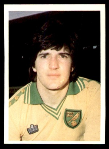 Daily Star Football 1981 - Mark Nightingale (Norwich City) No.208 | eBay UK