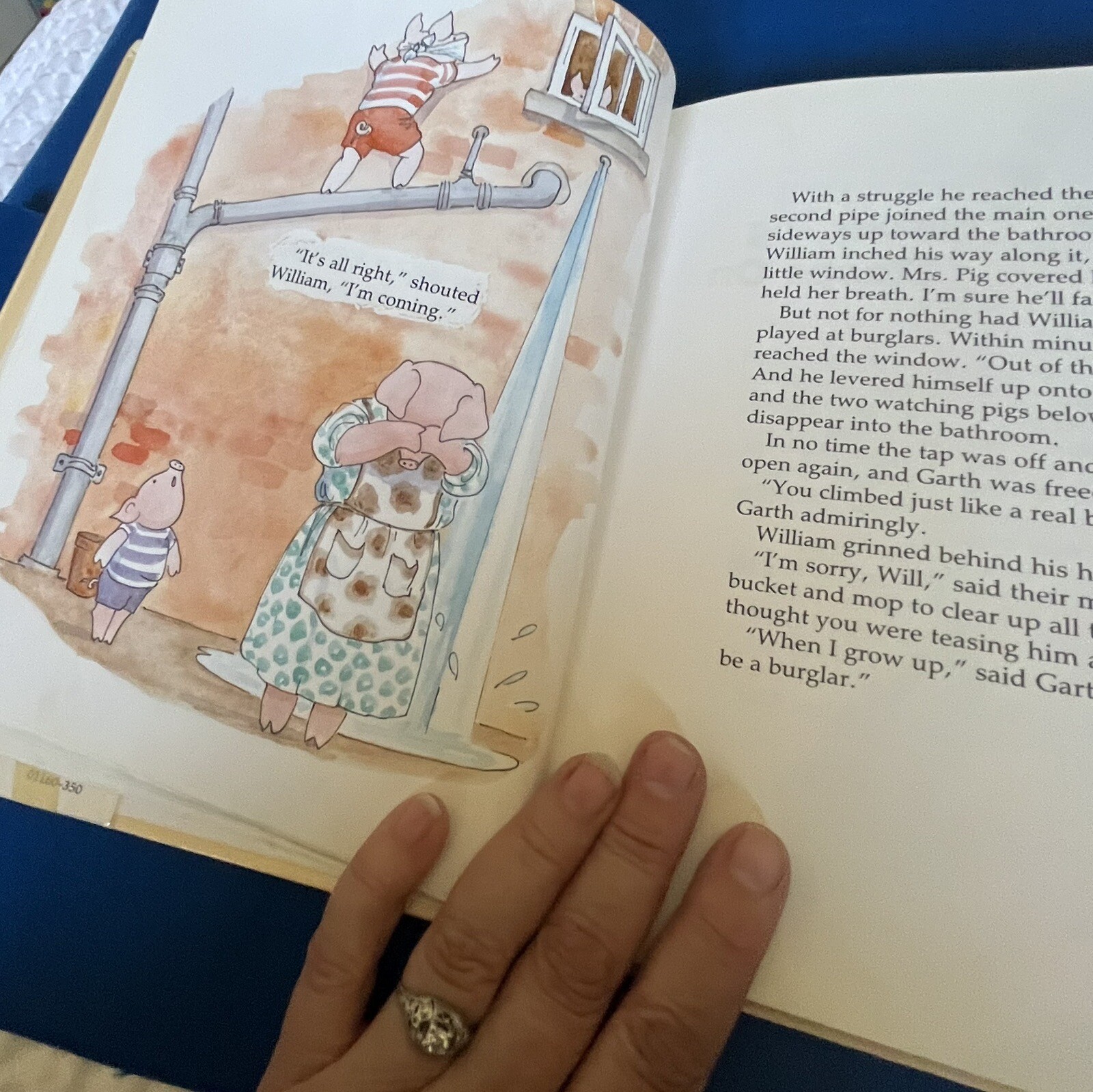 1987 Edition ‘MRS. PIG GETS CROSS & Other Stories’ Mary Rayner EX-Lib ...