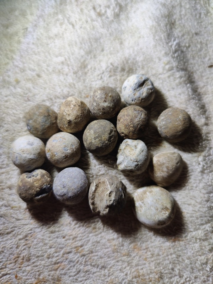 Civil War .69 Caliber Round Ball Bullet dug Waterloo ala. 15pc lot ...
