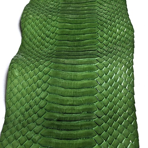 Patent Snake Skin Snakeskin Leather Elaphe Hide Avocado Green | eBay