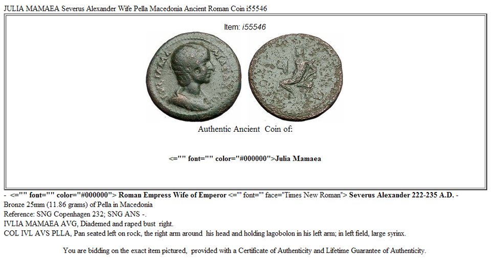 JULIA MAMAEA Severus Alexander Wife Pella Macedonia Ancient Roman Coin ...