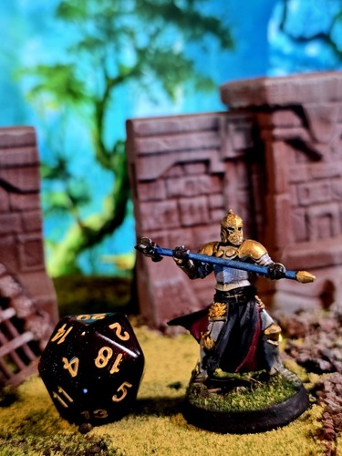 Boss NPC Noble Fighter War Lord DND Miniature Painted Dungeons And ...