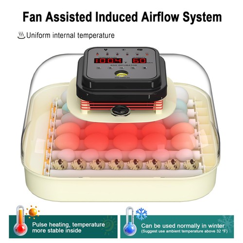 35 Egg Incubator with Automatic Egg Turning and Humidity Control ...