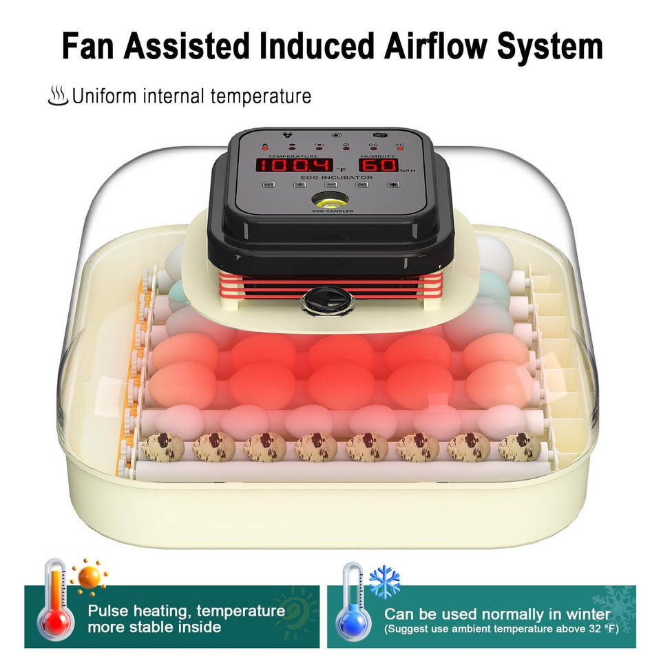 35 Egg Incubator with Automatic Egg Turning and Humidity Control ...