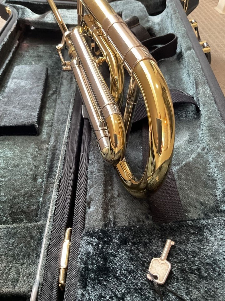 Custodia rigida trombone professionale modello Bach 42B | eBay