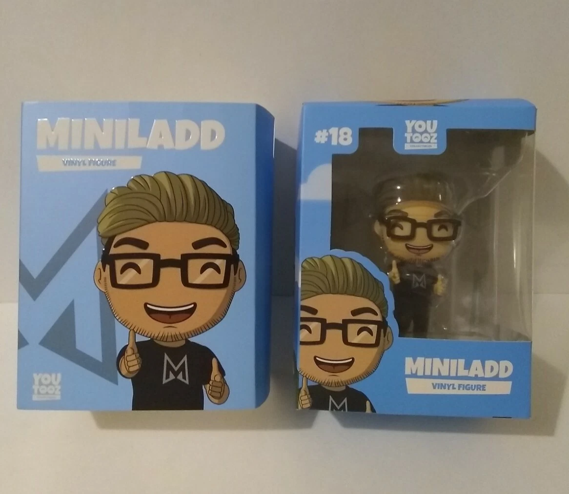 Mini Ladd Controller