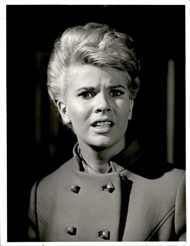 LG932 Original Photo BARBARA ANDERSON Beautiful Actress Guest Star on ...