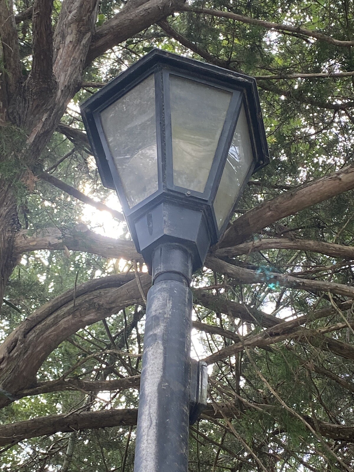 Vintage Black Colonial Luminaire Street Light Pole Lamp, LED NYC, Can ...