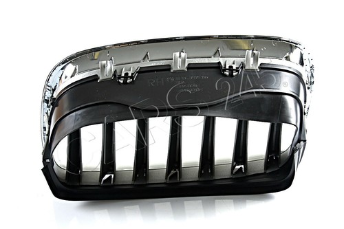 Genuine BMW E70 Front Radiator Kidney Titanium Grille O/S OEM ...