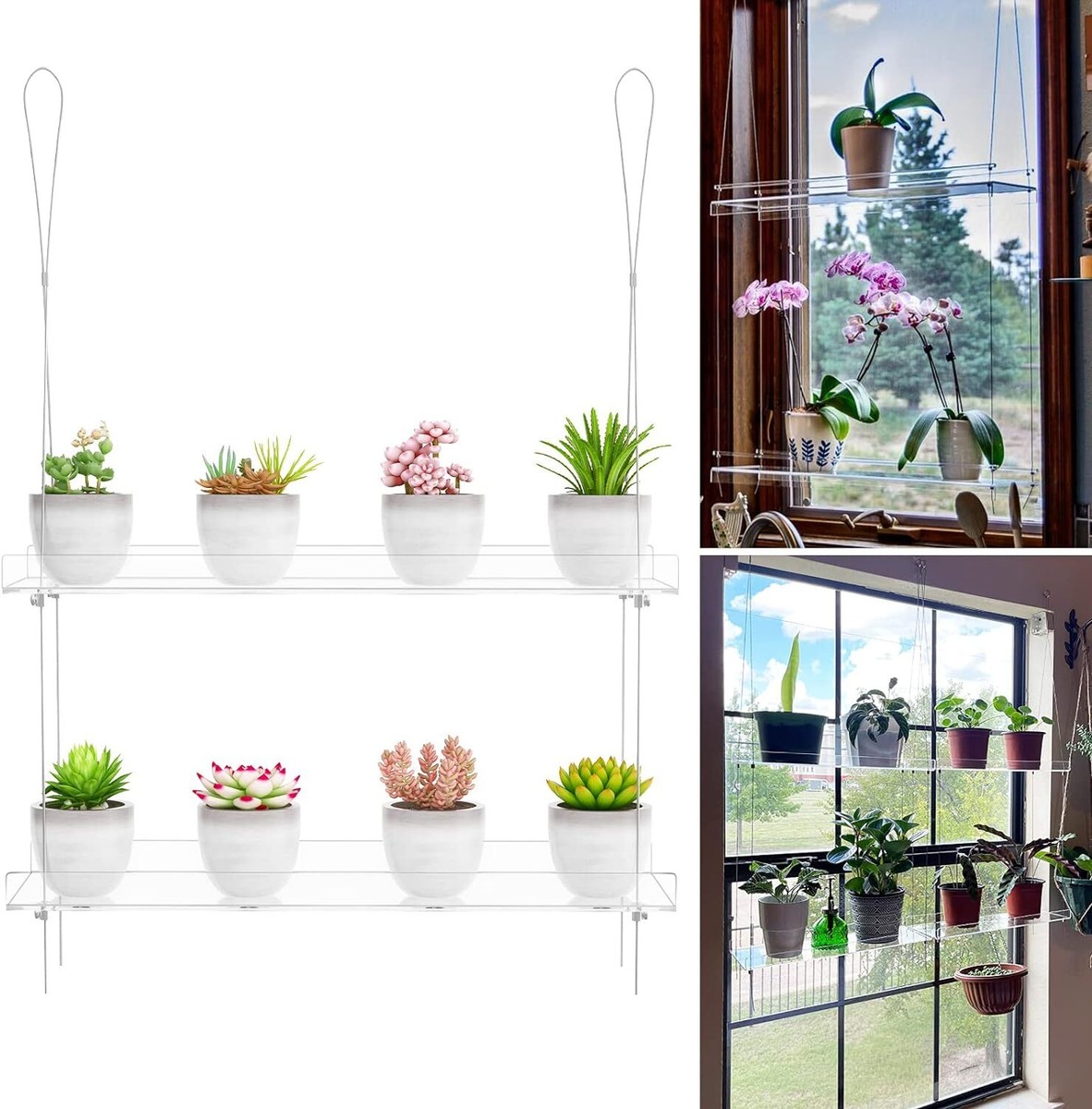 Window Plant Display Shelfs Latitude Run® Plant Stand Indoor Tall