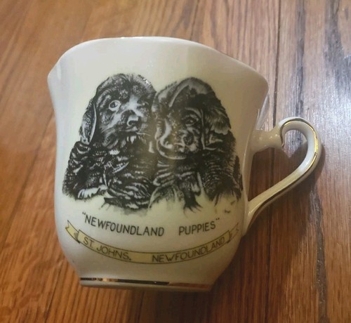 Elizabethan English Bone China Souvenir Newfoundland Cup & Saucer ...