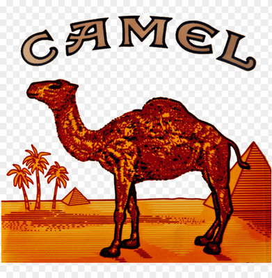 Camel Cigarettes sticker weatherproof bumper vinyl decal | eBay